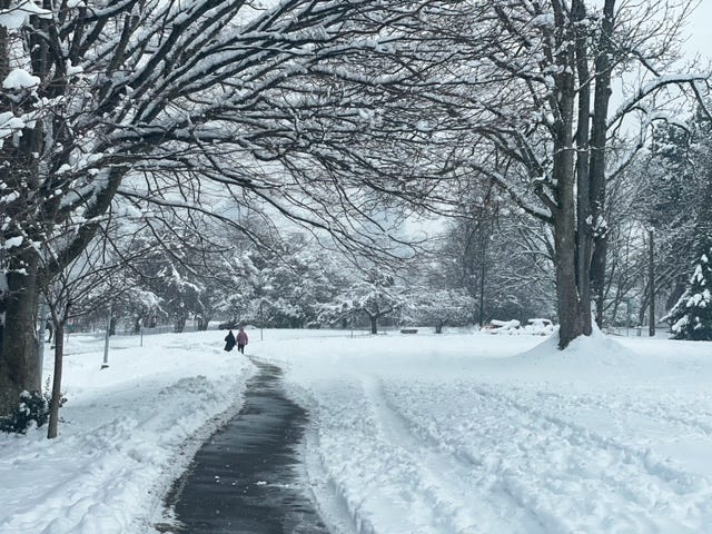 Old-fashioneds & a red light room. - by Sonya Lea