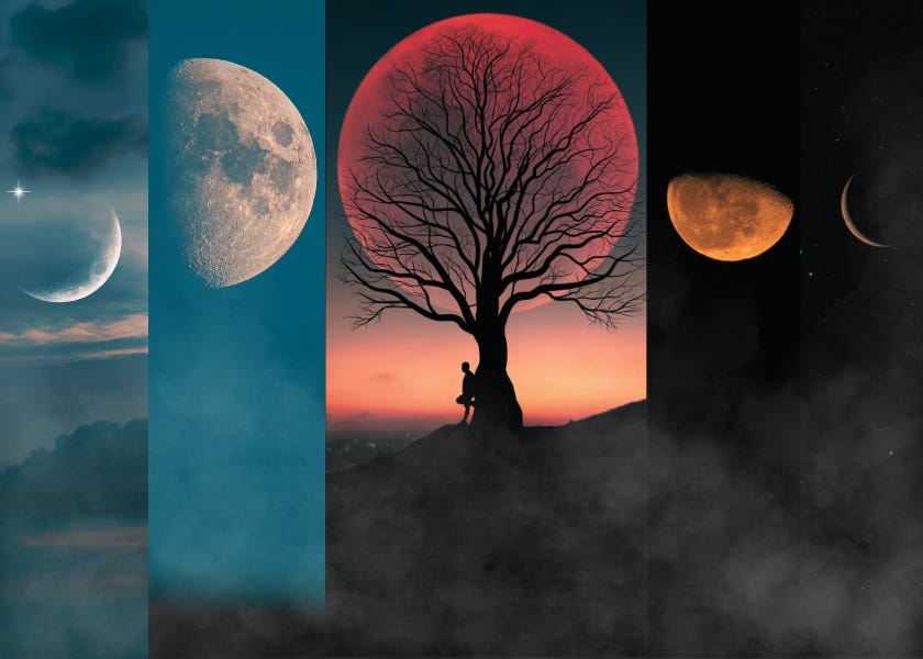 The OG Life-Death-Rebirth Cycle - by Natalie Stoemmer