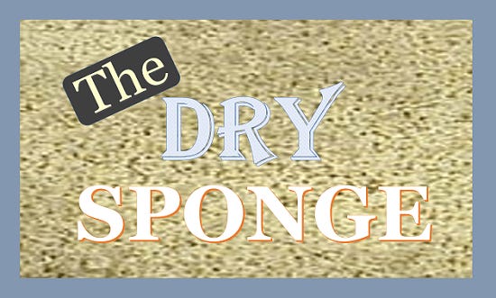 The dry sponge - by Dan Evers - Jesus4Evers Newsletter