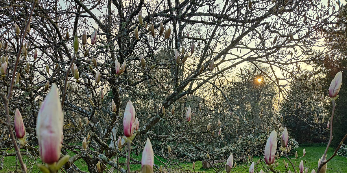 Sitting in a conscious rest - - by Alyssa Curtayne