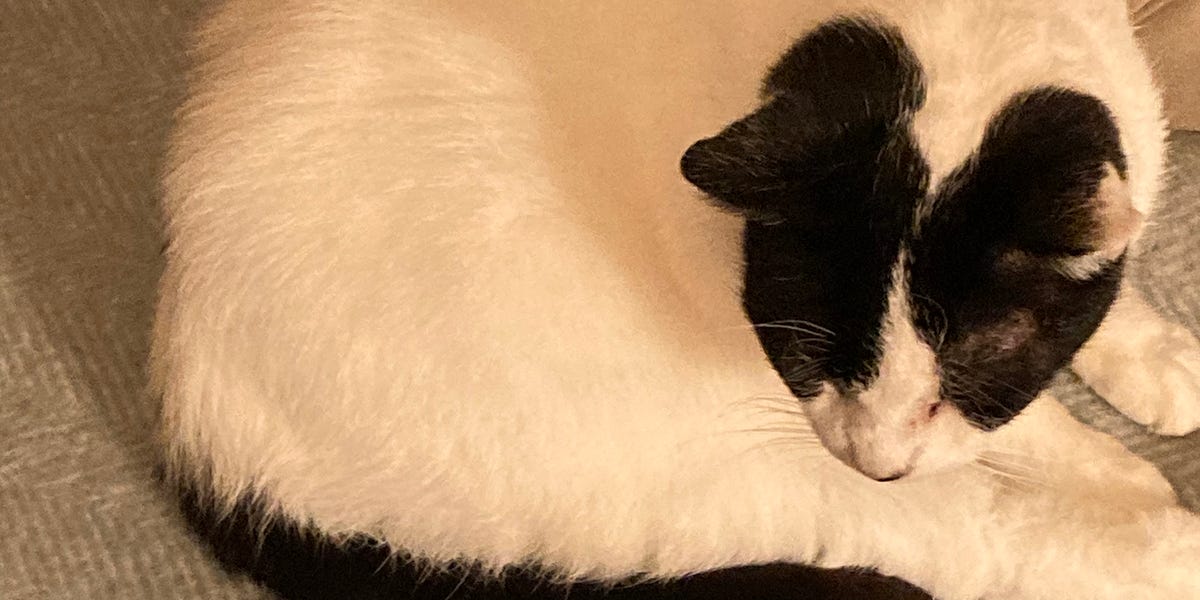 New book release - by R.N. Morris - Roger’s Substack