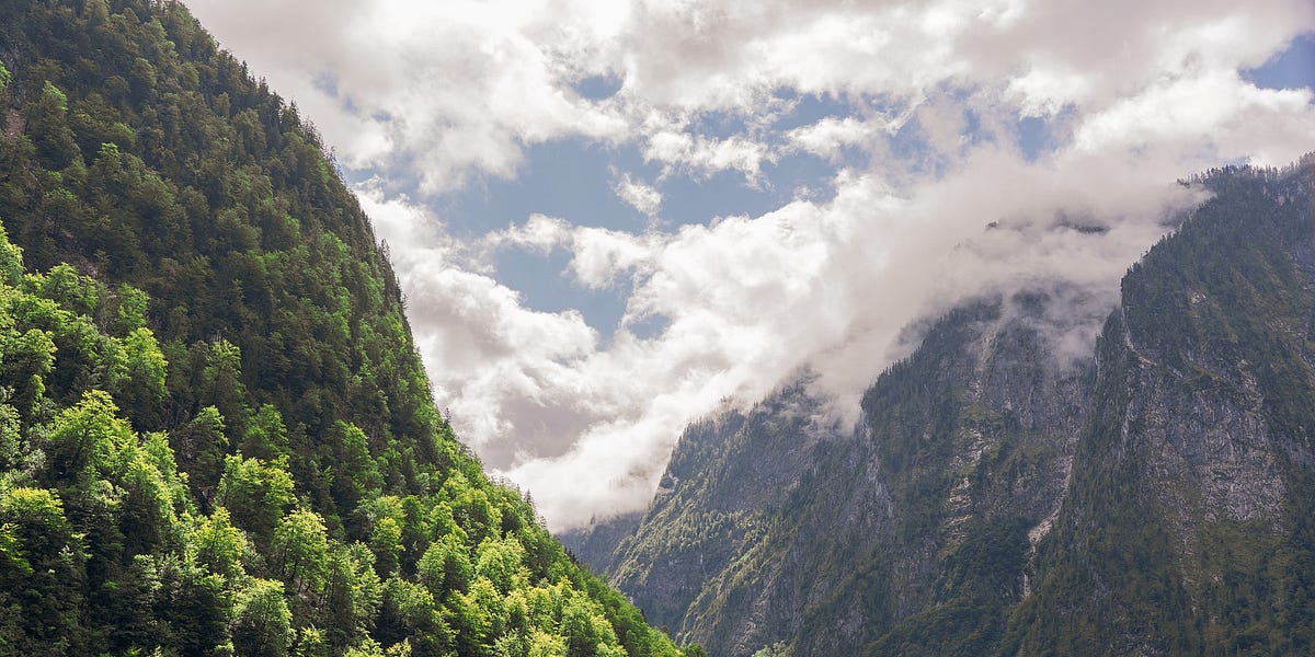 The Quest for Perfection - by Cree Hardegree