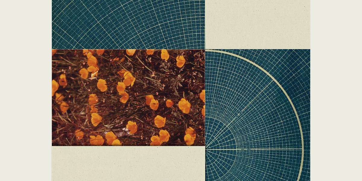 Meanwhile #150 - by Daniel Benneworth-Gray - Meanwhile