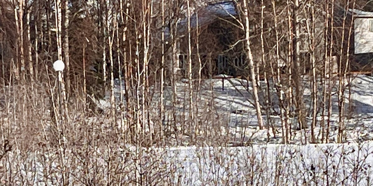 Commonplacing - by Freya Rohn - The Ariadne Archive