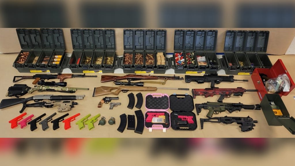 Firearms, 3D-printed gun parts seized - RCMP