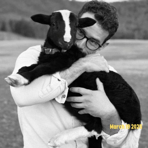 Probably This Week - by Beau Ciolino - Not So Fast