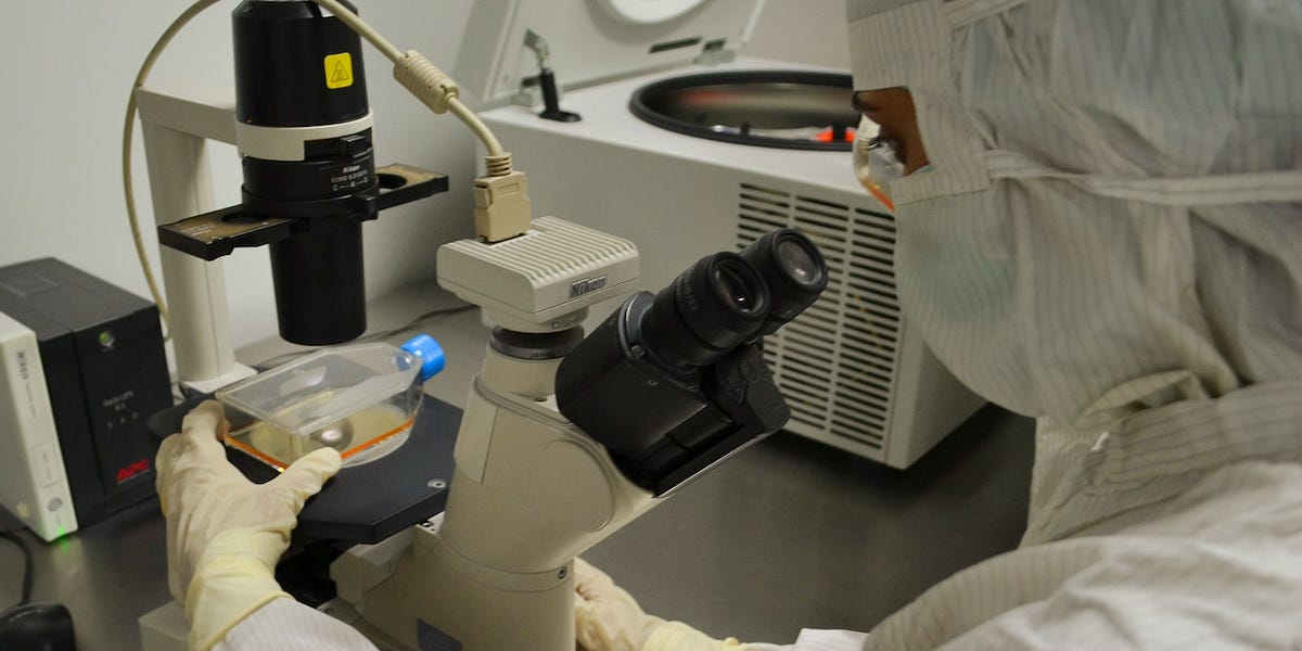 Masters in Clinical Embryology 2023 - Find UK University