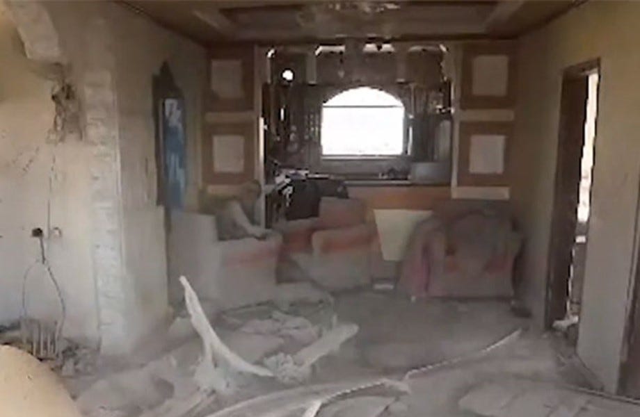 The Head Of The Snake - by Fergus Mason - Fergus’s Substack