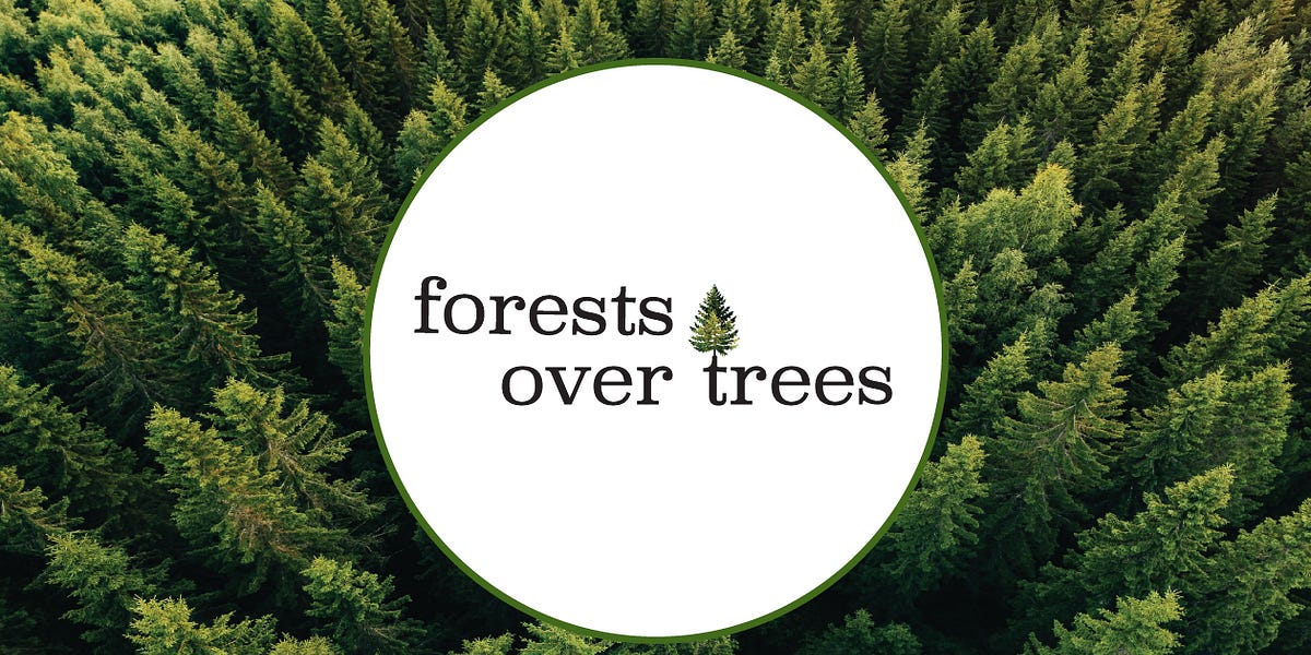 - by Joey Padgett - Forests Over Trees