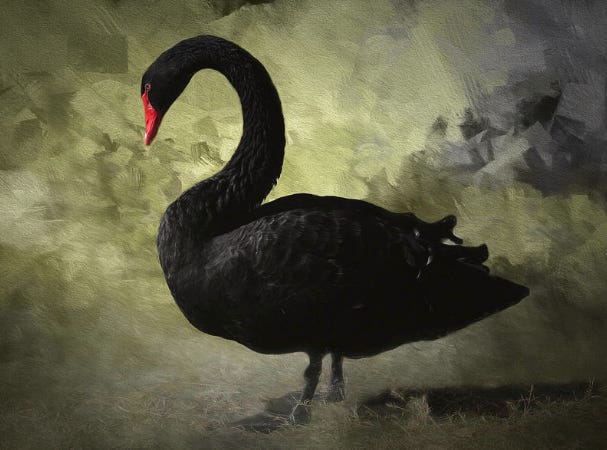 Birds Aren't Real - by Gordon Torr - My English Traits