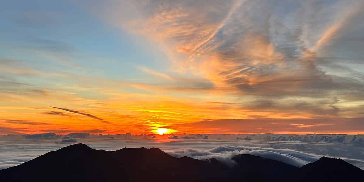 Oooops - Rachel Vindman