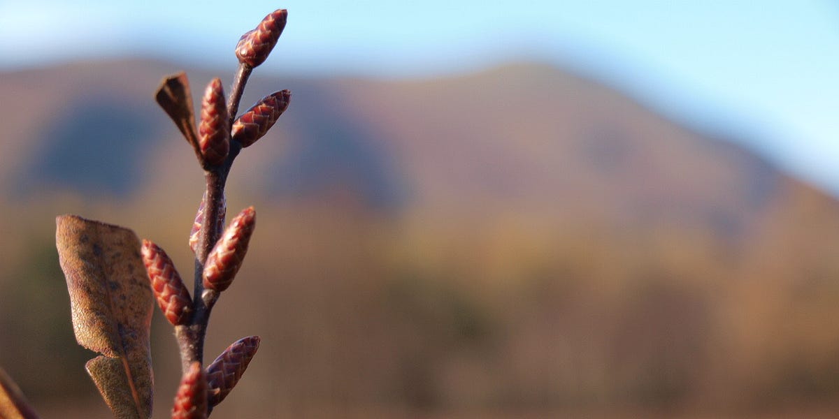 When 'freedom of expression' is used to curtail freedom