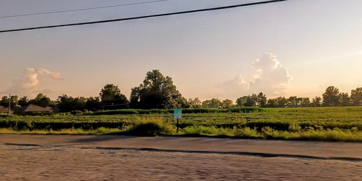 Unmasked: Episode 1 Trolls - by Jazz Williams