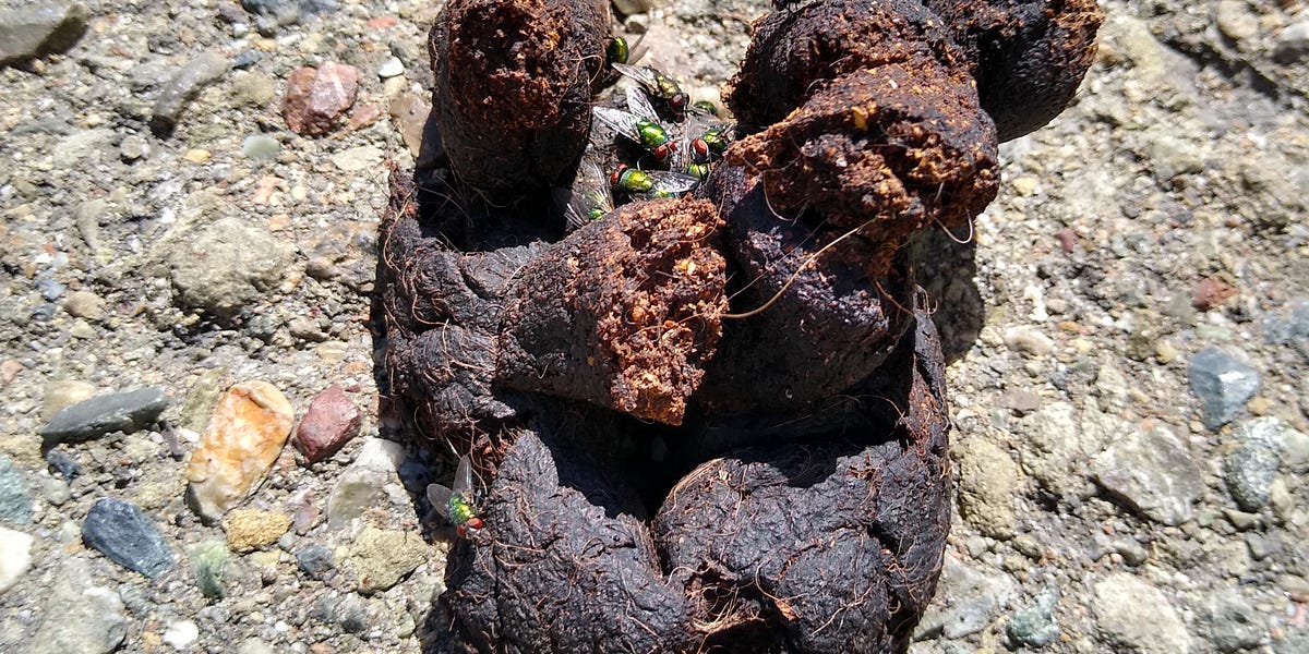 Hunter Biden artwerx number 1 by Grasshopper Kaplan