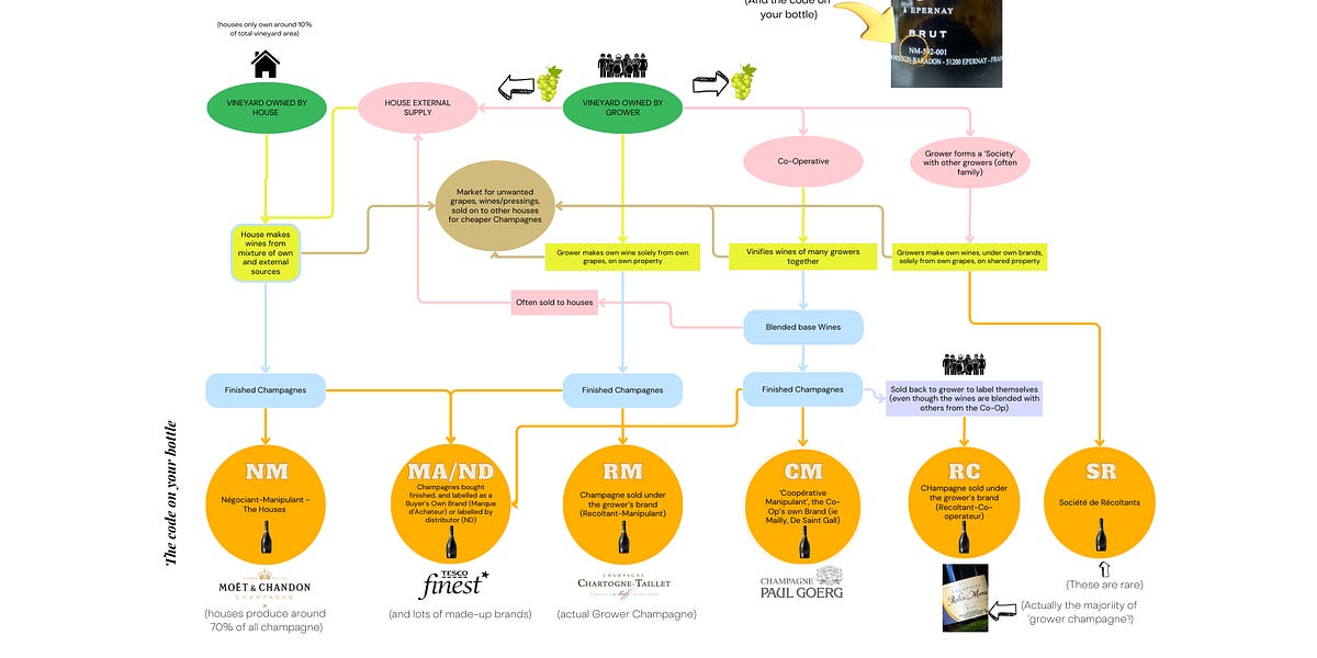 Bubbleschool - The Structure of Champagne - by Tom Hewson
