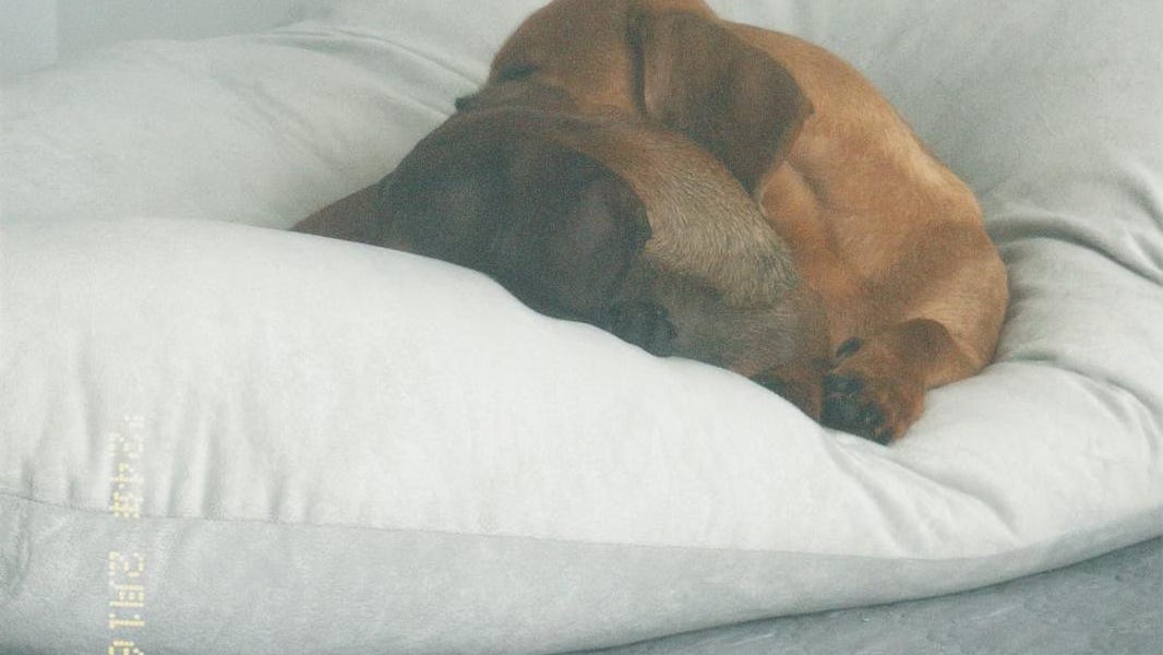 Lección 1. - by Gaby Arias G. - un mar de escritos