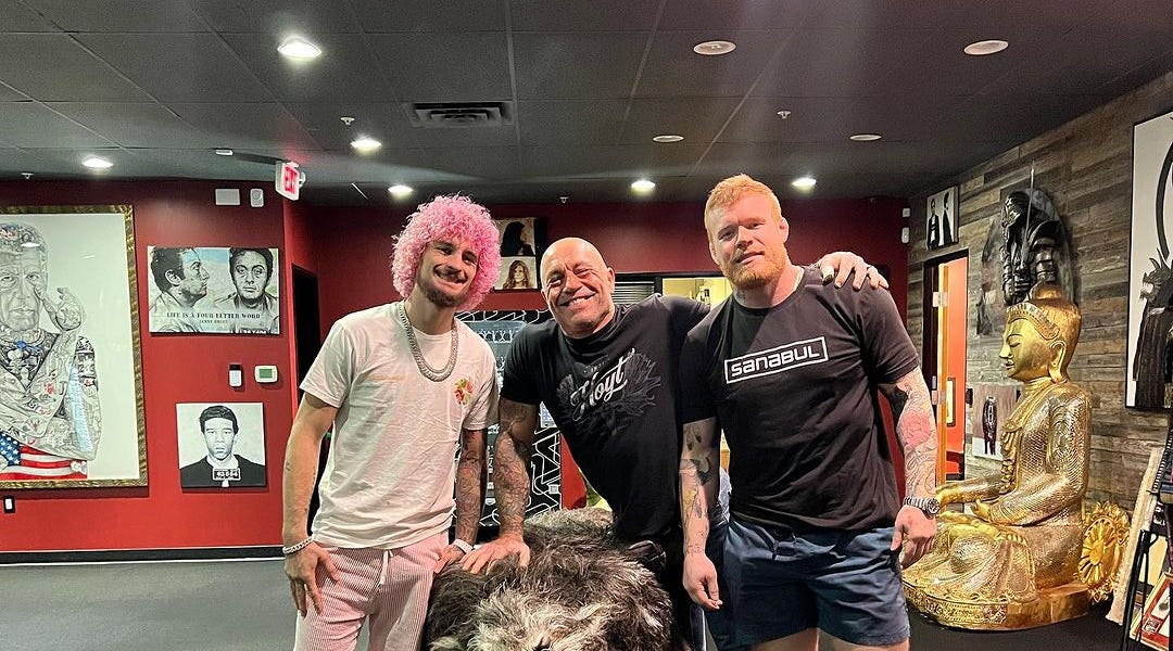 Red Hawk Essentials #47 - by Tim Welch