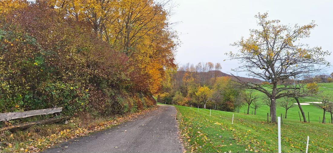 Giving Thanks Around the World - by Jon & Joy deTombe