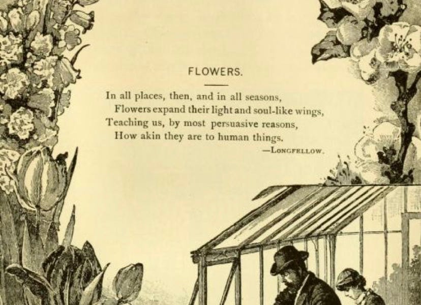 Welcome - Warrior In A Garden Substack