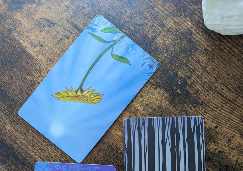 Simply showing up ☀️ - Carrie Mallon's Substack