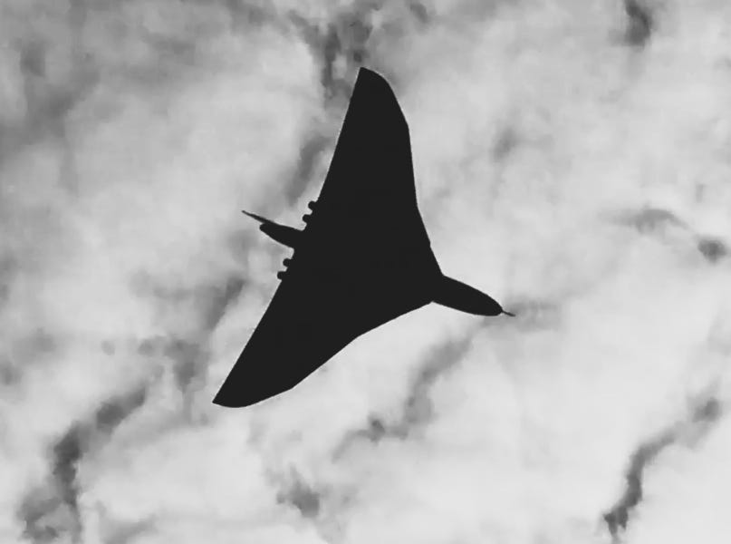 Bird Strike - by Johnathan Reid - ReidItWrite