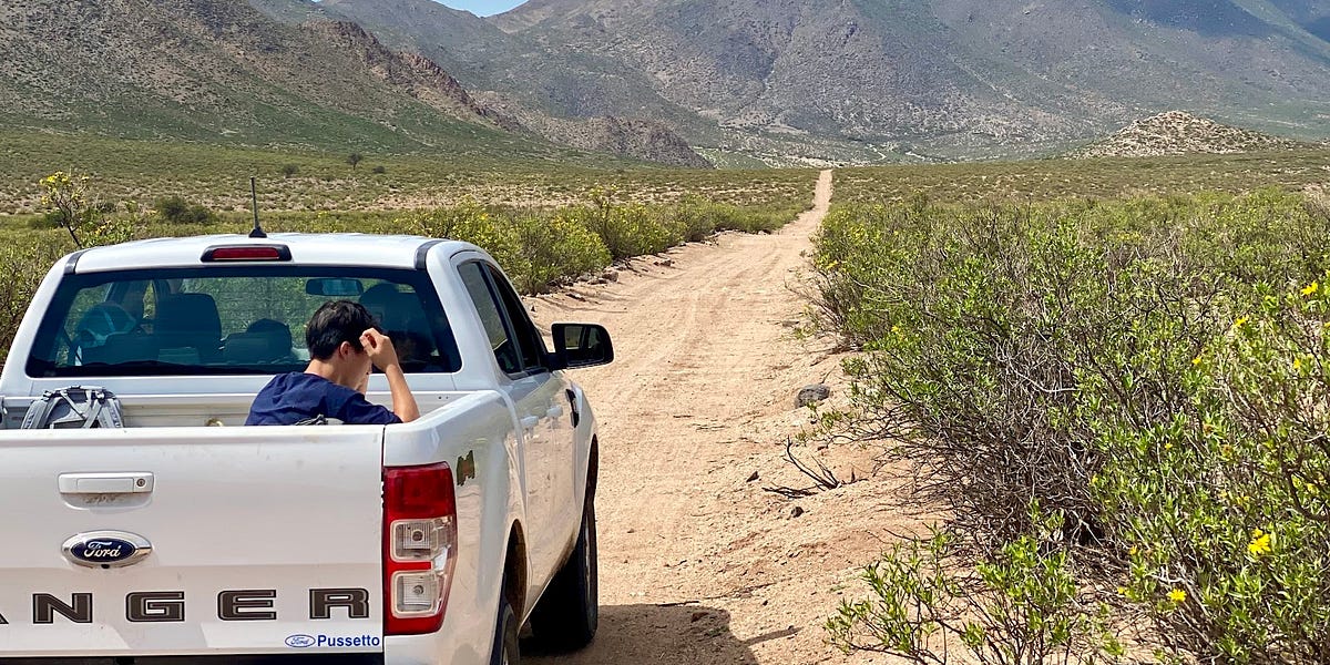 She stole our hearts - by Tom Dyson