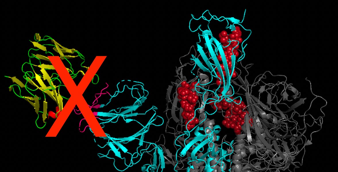 SARS-2 Spike Protein–Fibrinogen Interaction to block antibody effectiveness