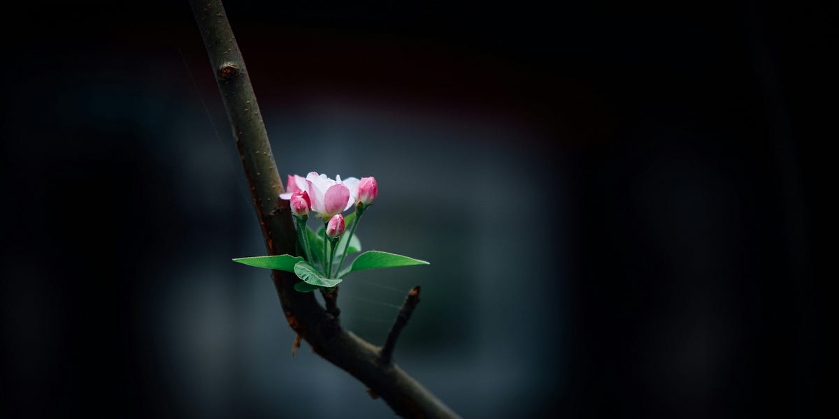 We Are Not Cogs in a Wheel - Soul Spark with Jenn Todling