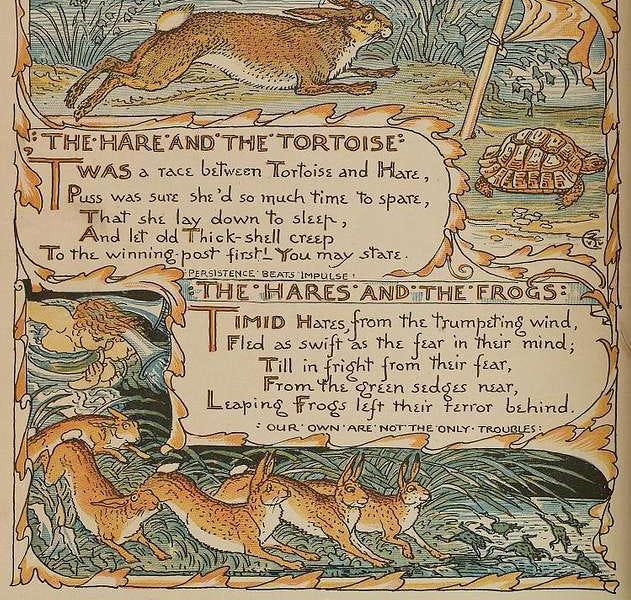 The Tortoise and the Hare: Fairy Tale or Parable?