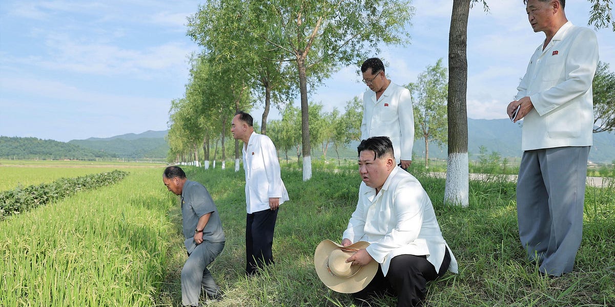 Agricultural Productivity - by Dr. Digby James Wren