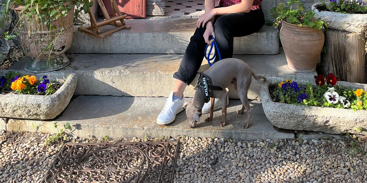 Inspiration: An interview with Kayte Stennett