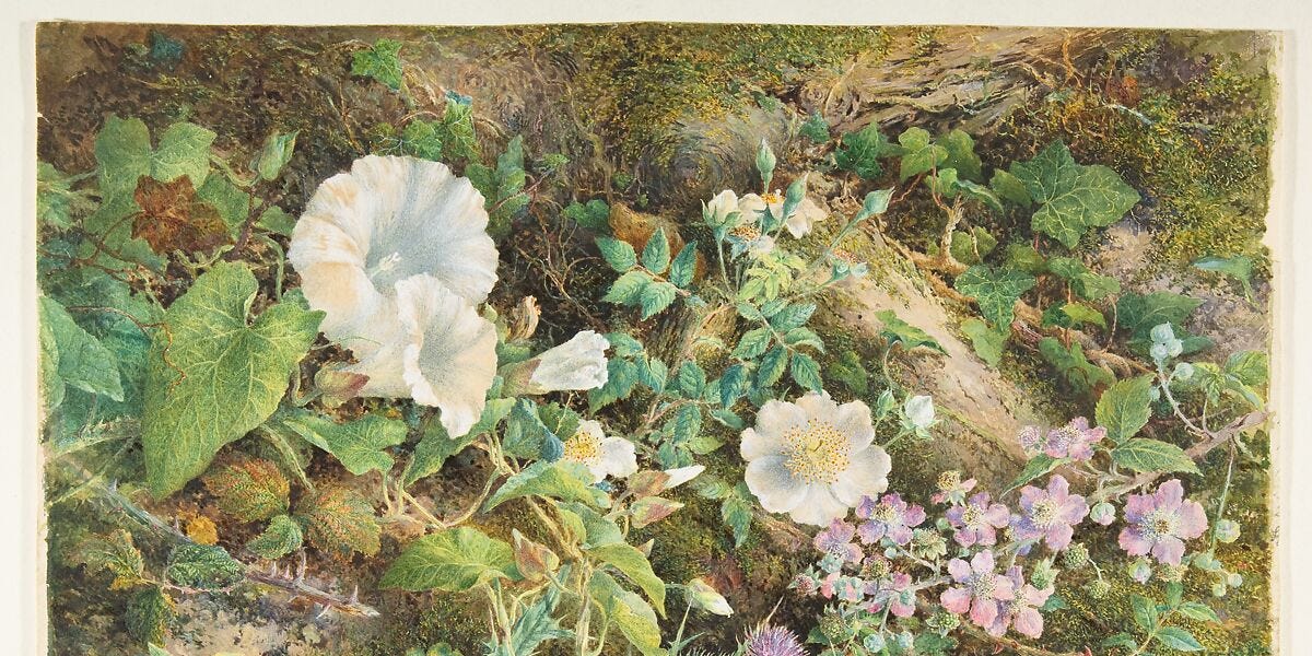 Dear Susu #16: Cults, Boundaries, & Breaking Ties with Family