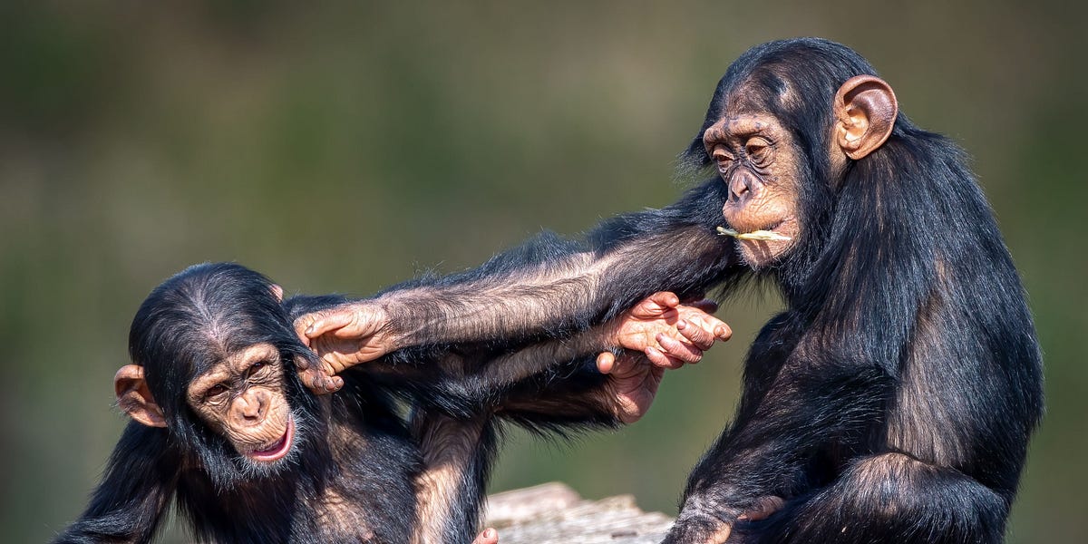 ScienceDaily: All - February 14, 2024