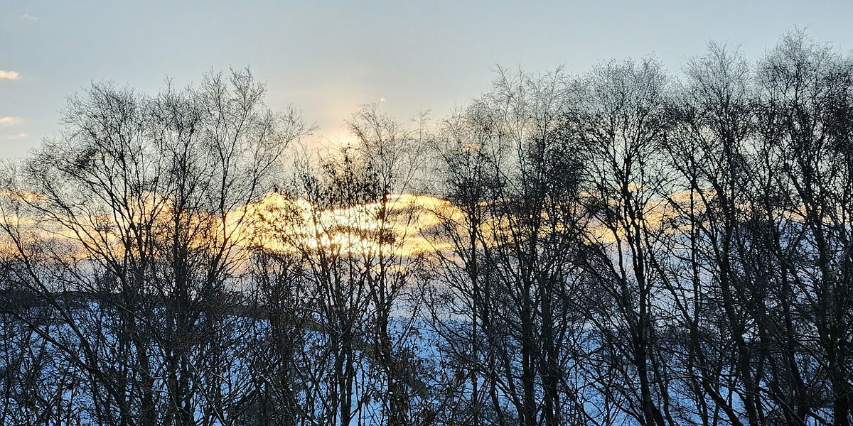 The Winter Pilgrimage - by A Catholic Pilgrim