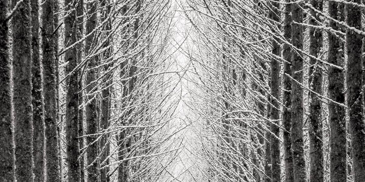 Jeffrey Conley - PHOTOSNACK