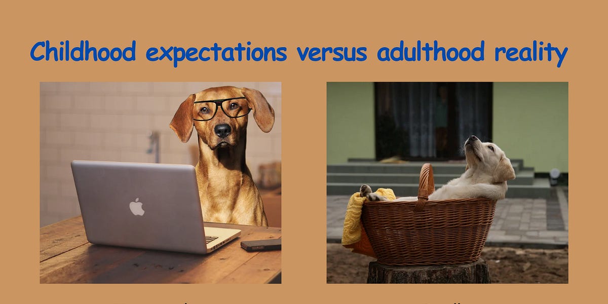 Childhood expectations versus adulthood reality.