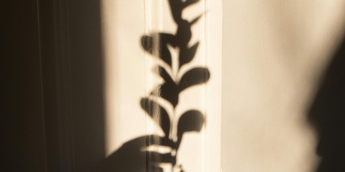 stay sensitive, gentle-people - by Rose J. Percy