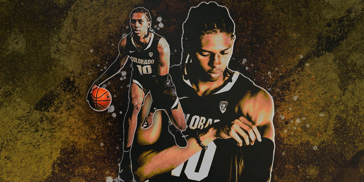 Cody Williams is Here to Help | The Prospect Overview