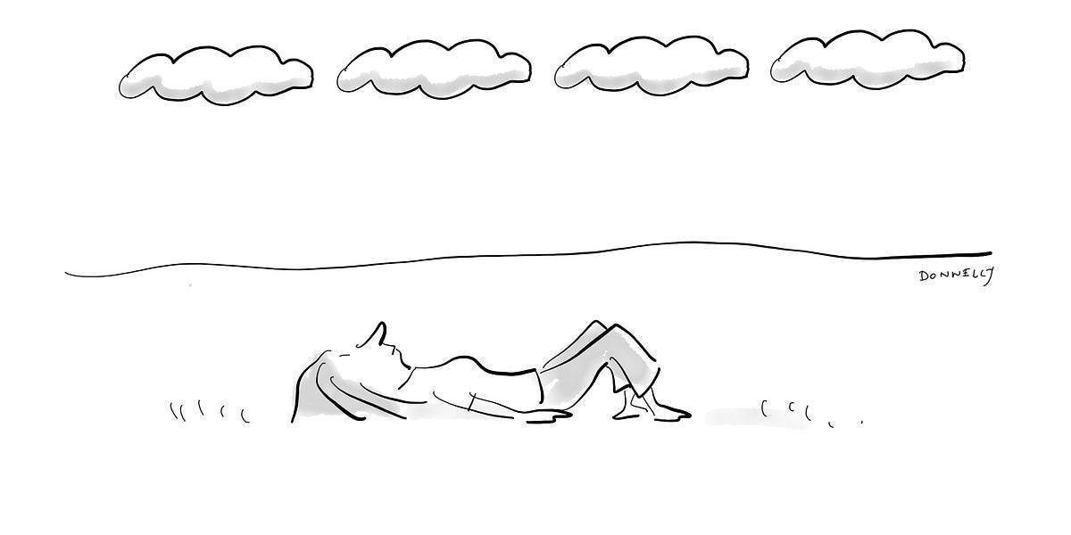 The Meaning Of Clouds - by Liza Donnelly - Seeing Things