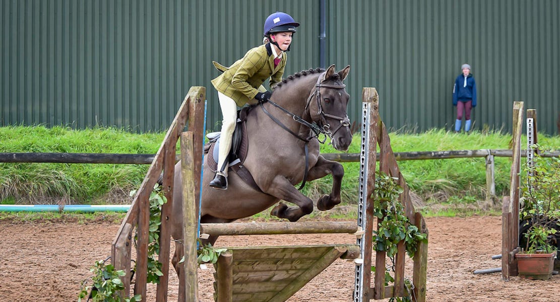 Bumper week of equine competition - Horse&Field