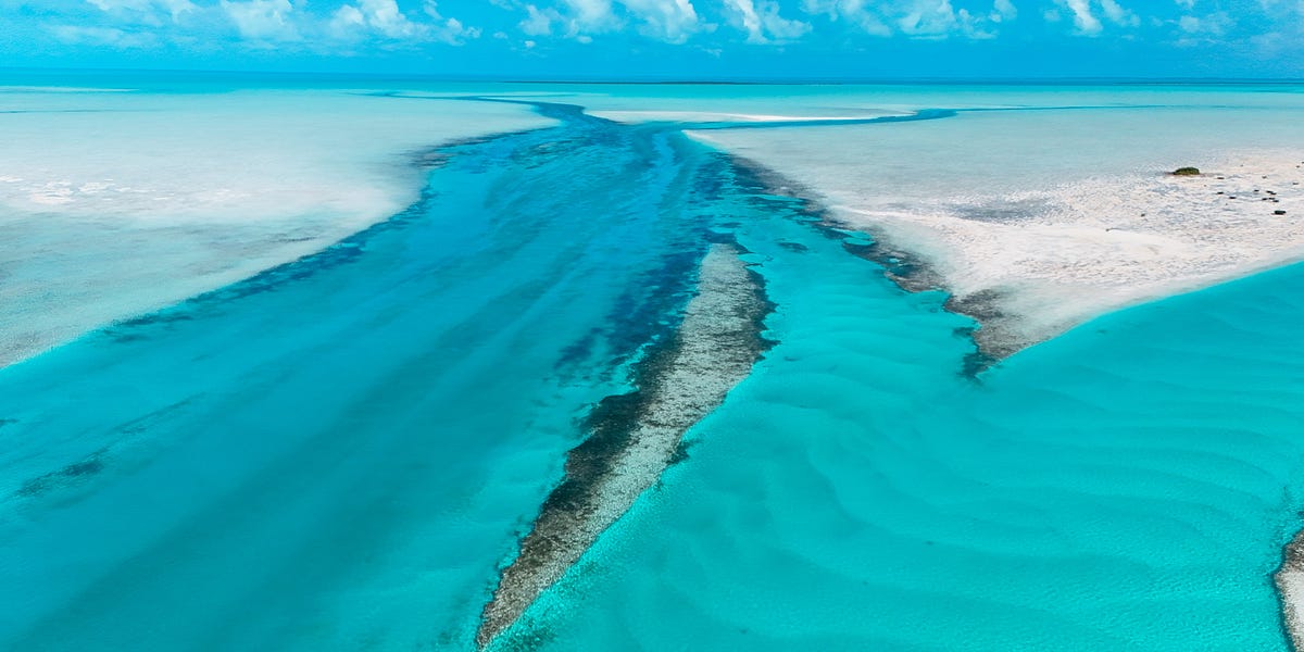 Deadman's Cay - by Michael Williams - A Continuous Lean