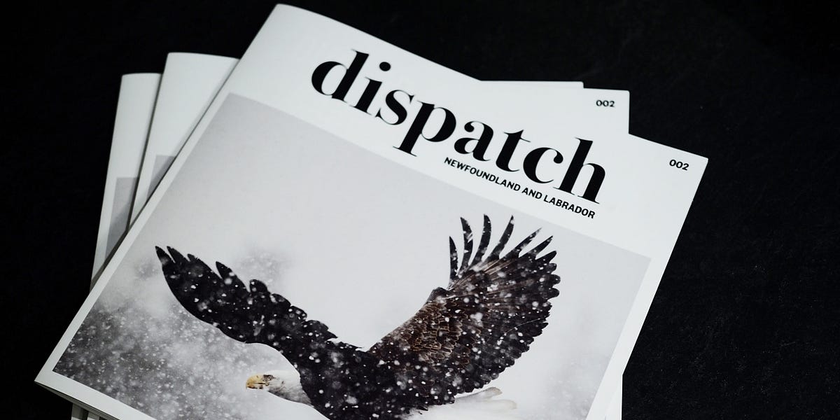 dispatch notes 4 - by dispatch press - dispatch notes