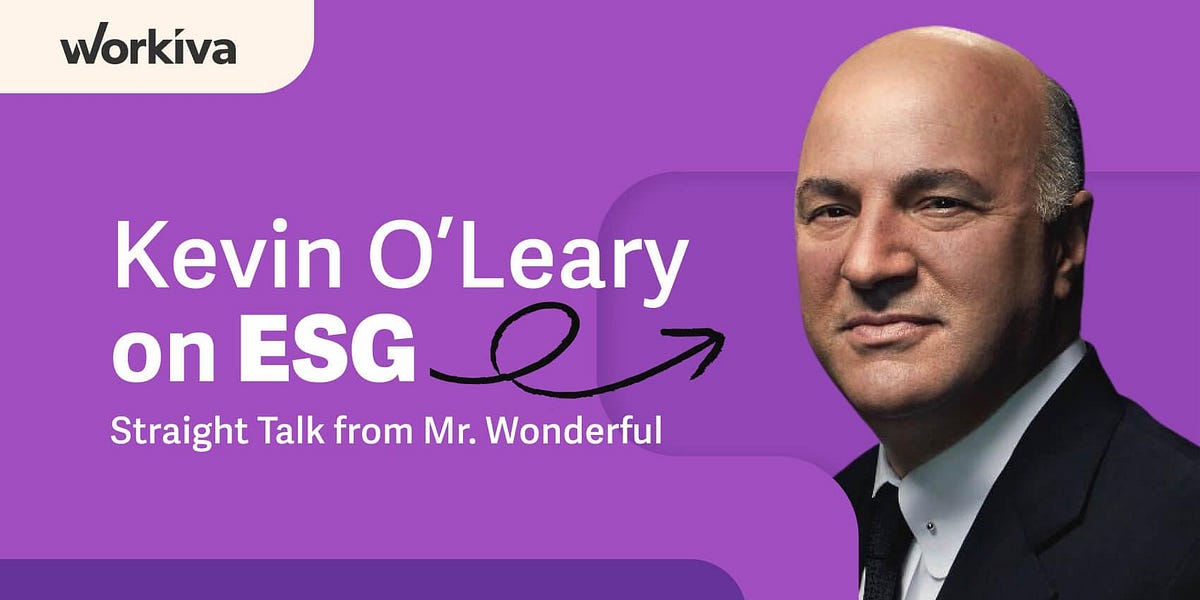 Kevin O'Leary & Gov Doug Burgum's Wonder Fund Is Absolutely Wonderful ...