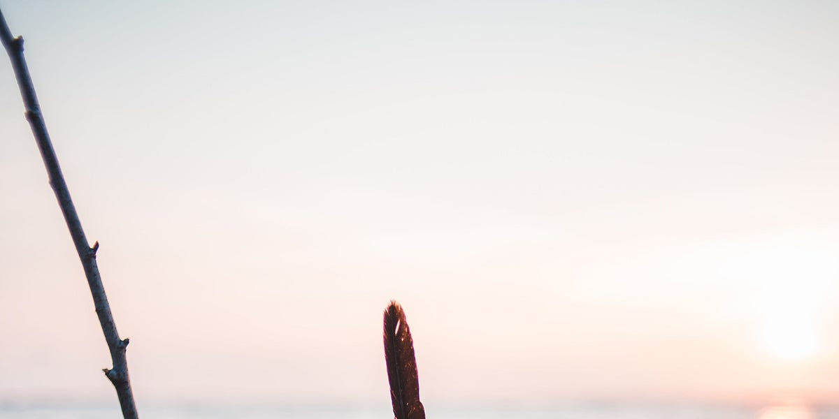 Novel Progress: 3rd Draft completed