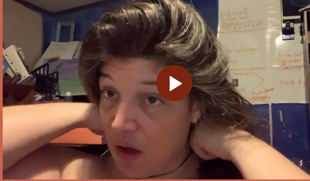 Sabrina Wallace ~ How “slaughterbots” deployed on conus actually WORK/route