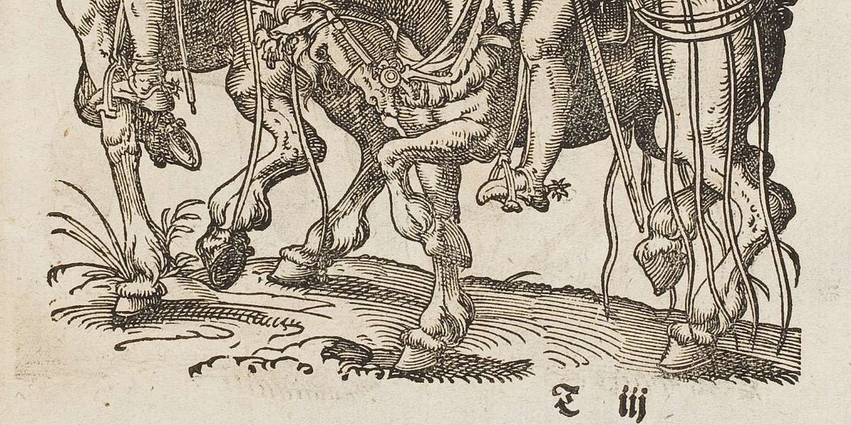 The Evolution of Cavalry in 16th century