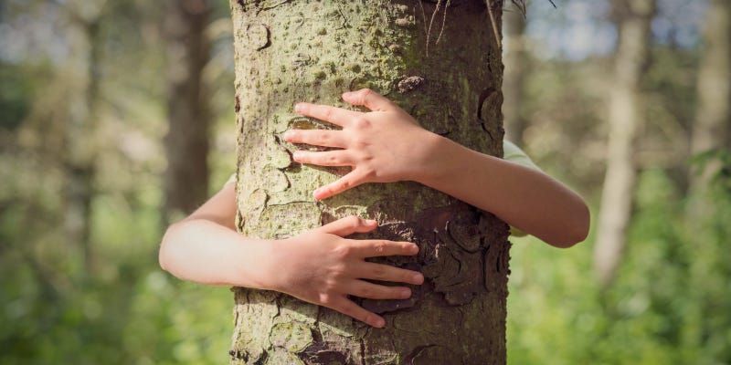 Coregulating with the Natural World - by Juniper