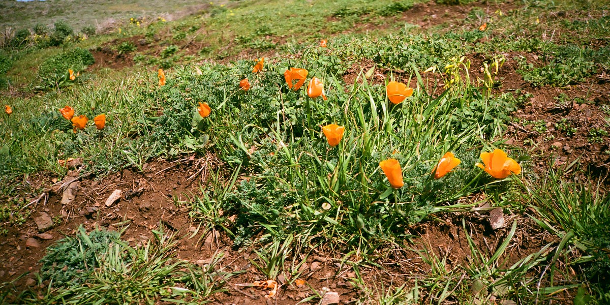 Boundlessness - by Julia Bedell - vessels