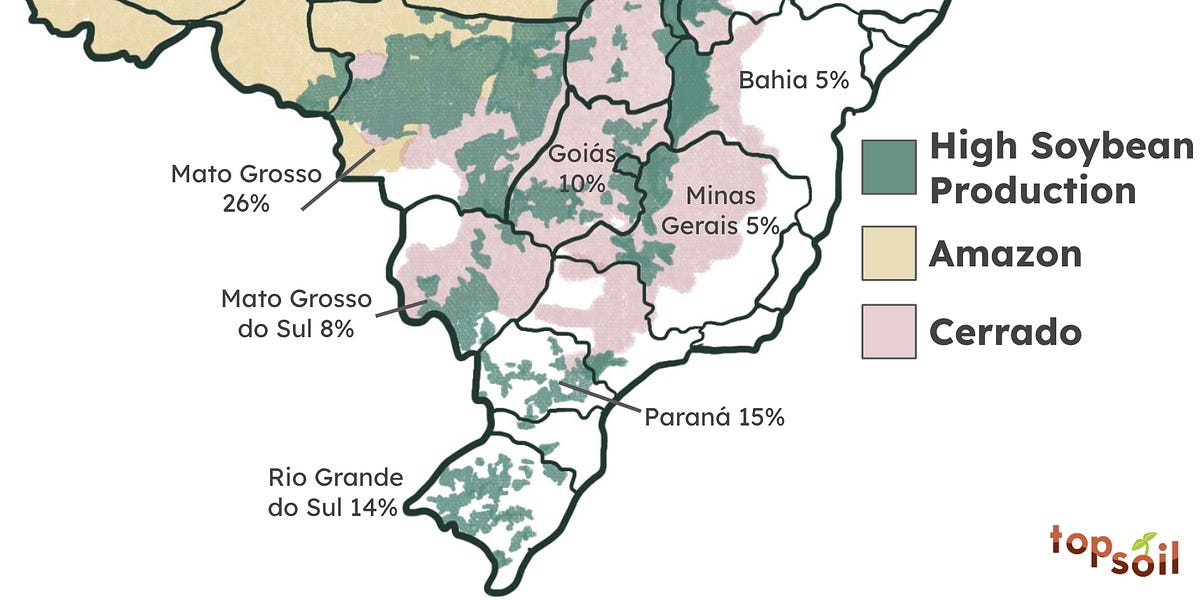 The Brazilian Way - by Ariel Patton - Topsoil