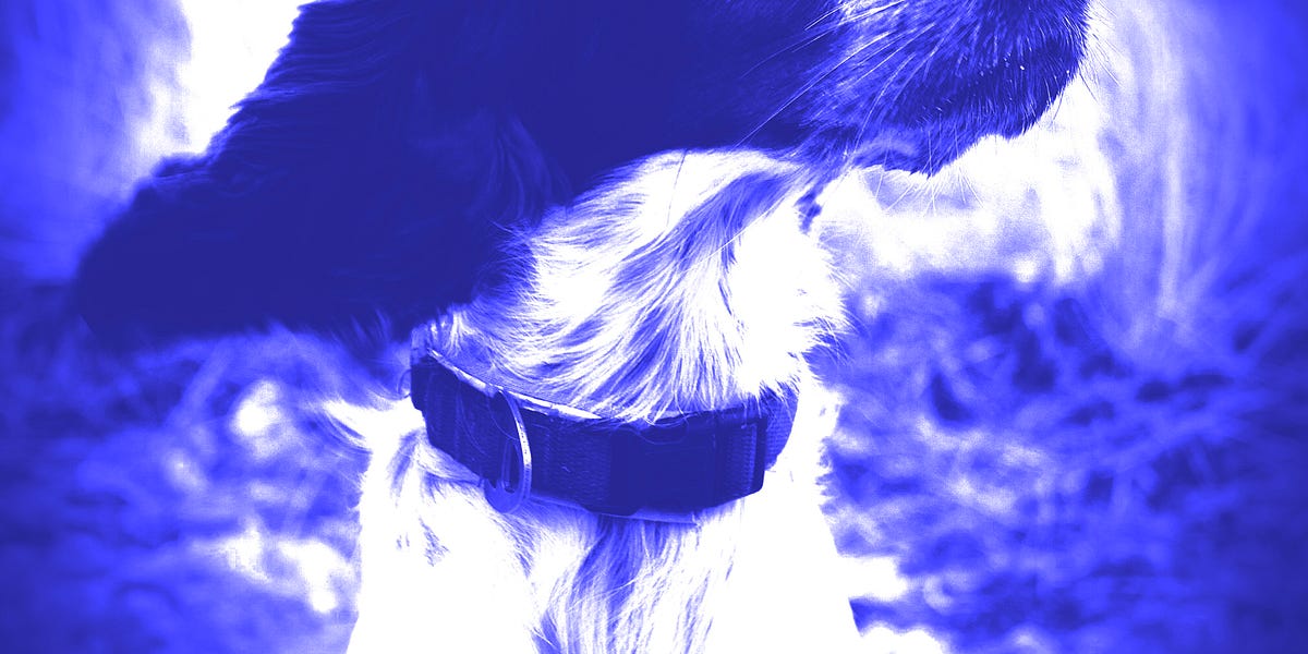 Molly - by Adrian P Conway - Adrian's Fiction